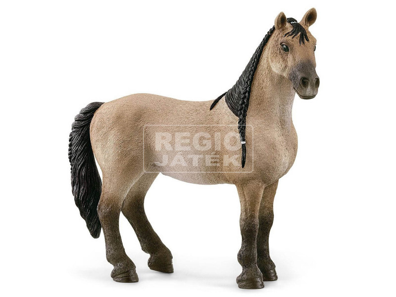 Schleich Criollo definitivo kanca | REGIO JÁTÉK Webáruház