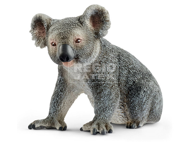 Schleich Koala | REGIO JÁTÉK Webáruház